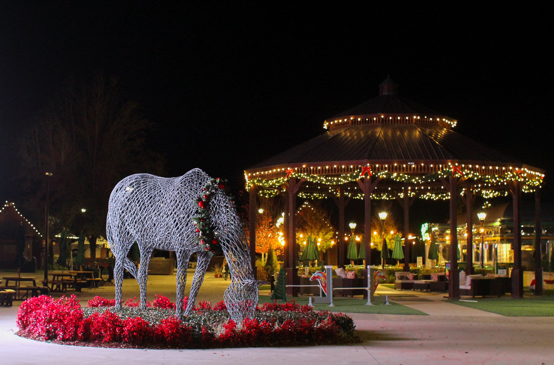 tryonweb, Author at Tryon Riding and Hunt Club, Tryon North Carolina ...